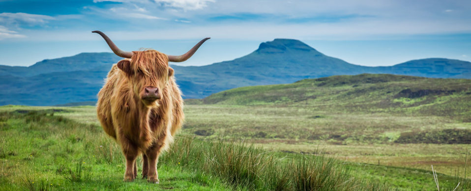 Luxury 10 Day Tour Of Scotland | Enquire Today